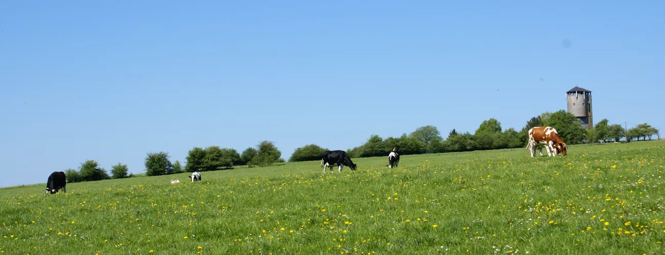 Le feuillet PGDA IV version allemande est disponible | PROTECT’eau